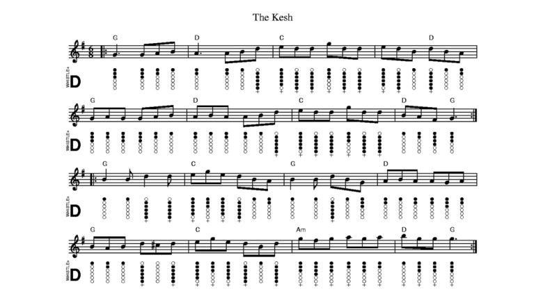 The Kesh - Violin - The Bothy Band - Folk Tune - Play Along Tab Tutorial | Fiddling with my Whistle